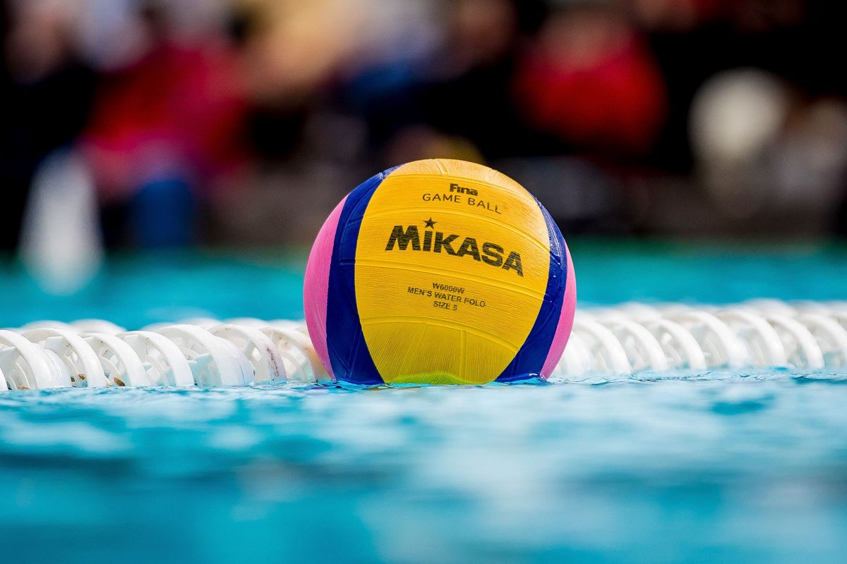 SportRegion Stuttgart: Wasserball | Maximaler Erfolg für den Nachwuchs